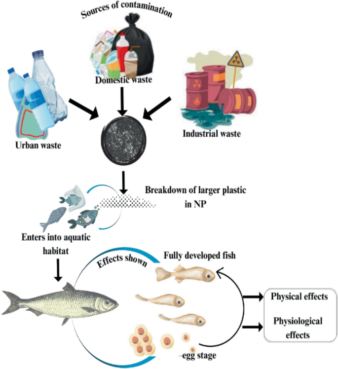 Nano Plastics in Aquatic Ecosystems: Implications for Human Health via ...