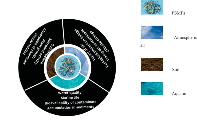 The Impact of Polystyrene Microplastics in Living Organisms ...