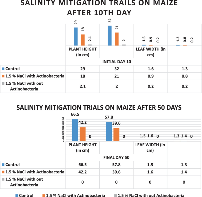 Biotechnological Interventions of Actinobacteria in Improving Saline ...