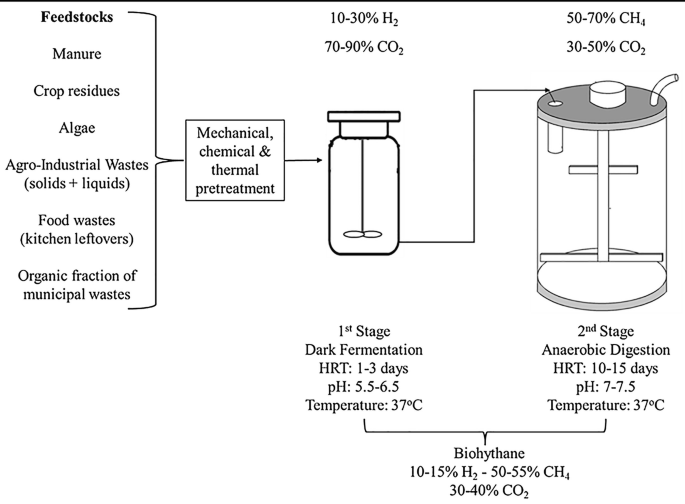 Biohythane Production from Biomass: Processes, Technologies, and Recent ...