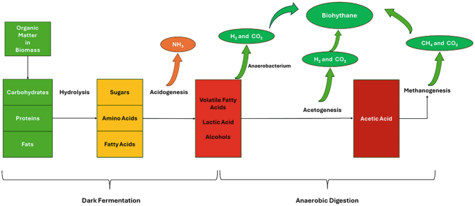 Biohythane Production from Biomass: Processes, Technologies, and Recent ...
