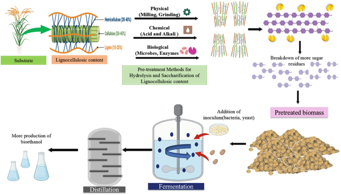 Microbial Bioethanol Production | Springer Nature Link (formerly ...