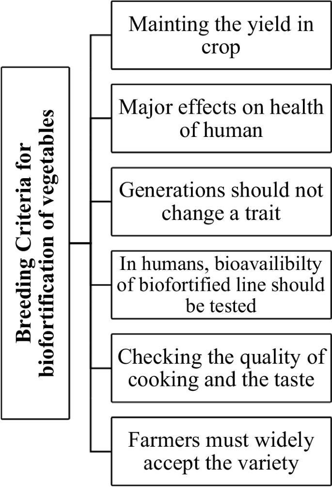 Role of Selenium in Biofortification of Vegetable Crops | Springer ...
