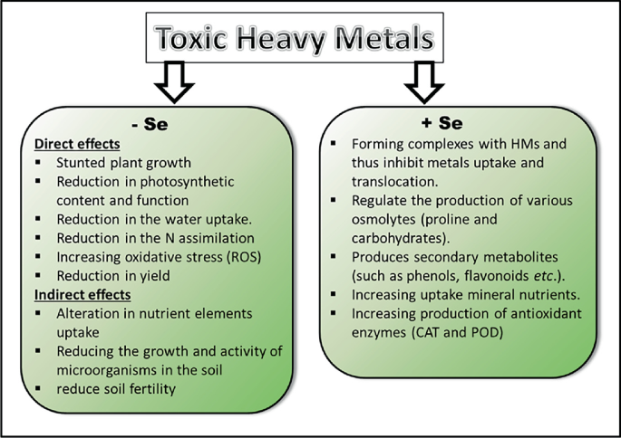 Selenium and Toxic Heavy Metals Interaction in Soil–Water–Crop System ...