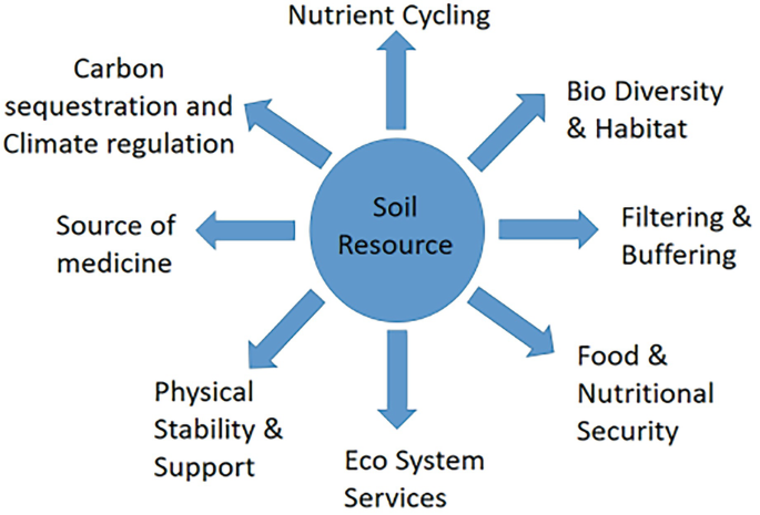 Soil Conservation Techniques and Adaptive Management Practices for ...