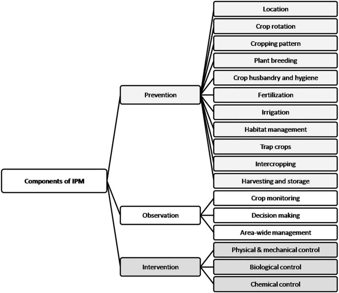 Innovative Management Practices for Insect Pest and Diseases and to ...