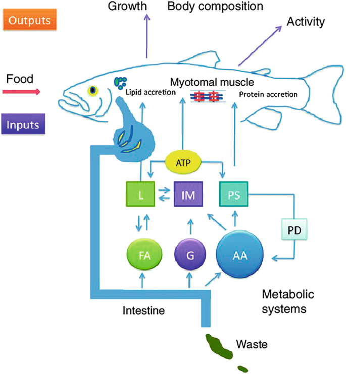 Nutrient Resource Management in Fisheries and Aquaculture | SpringerLink