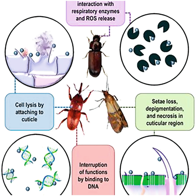 Advanced Stress Mitigation Techniques in Horticulture: Enhancing Crop ...