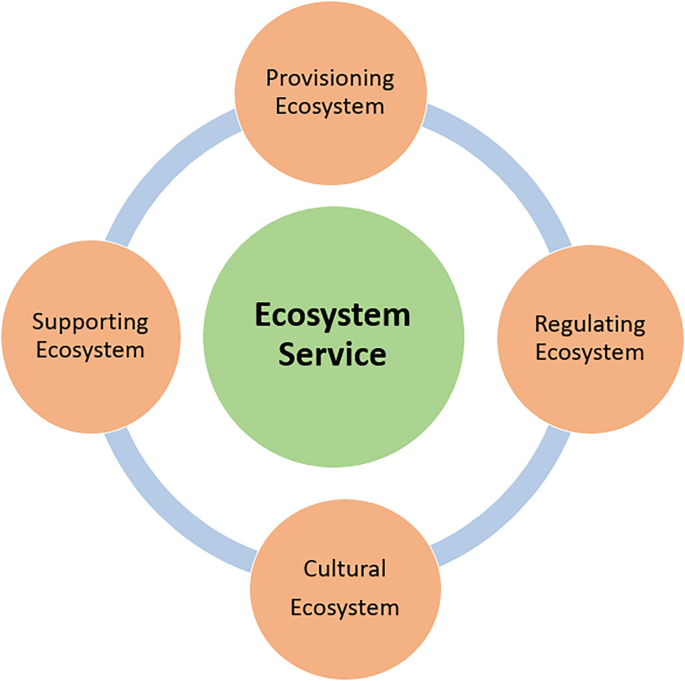 Ecosystem Services and Sustainable Development Goals: A Comprehensive ...