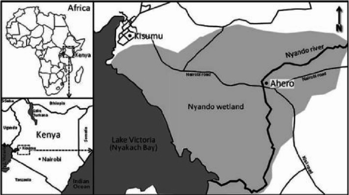 Women’s Power in Irrigation: Resilience and the Ecofeminist Link ...