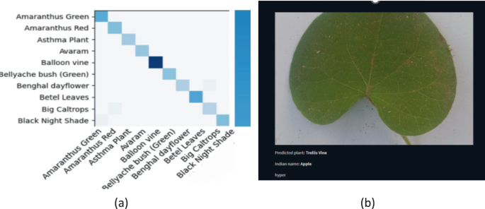 Leveraging Transfer Learning for Plant Identification with Limited Data ...