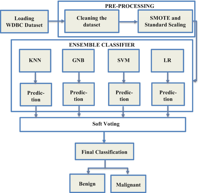 Breast Cancer Prediction Based on SMOTE and Ensemble Classifier ...