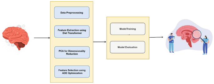Multiclass Brain Tumor Detection via DieT Transformer and Advanced Feature Selection | SpringerLink