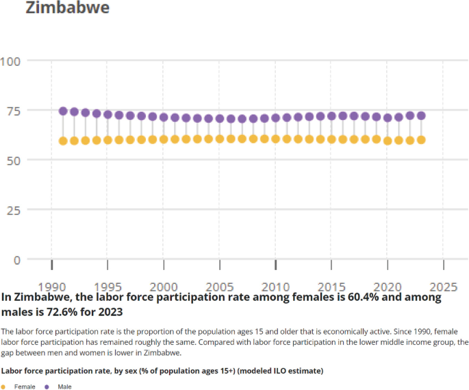 Social, Economic and Political Issues for Women Entrepreneurs in ...