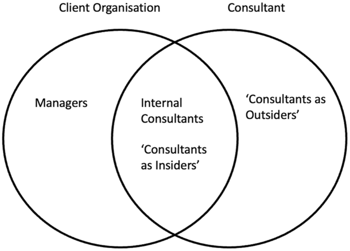 Consultancy in Practice: Navigating Boundaries | SpringerLink