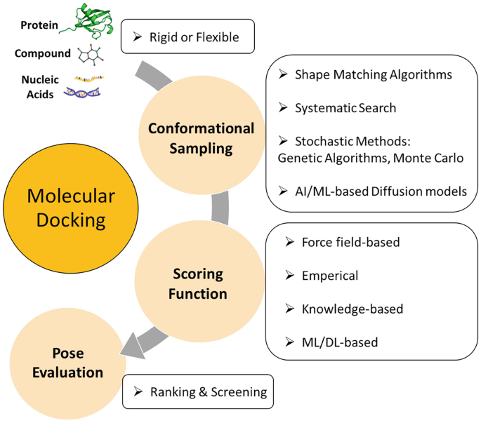 Computational Approaches Employing Biophysical Principles for Drug ...