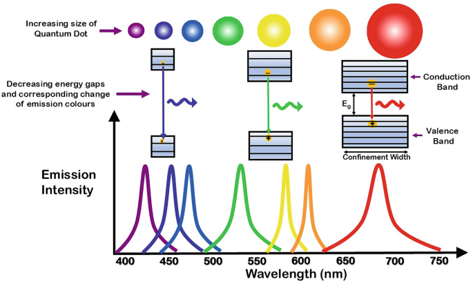 Quantum Dot Facilitated Cancer Diagnosis and Treatment | SpringerLink