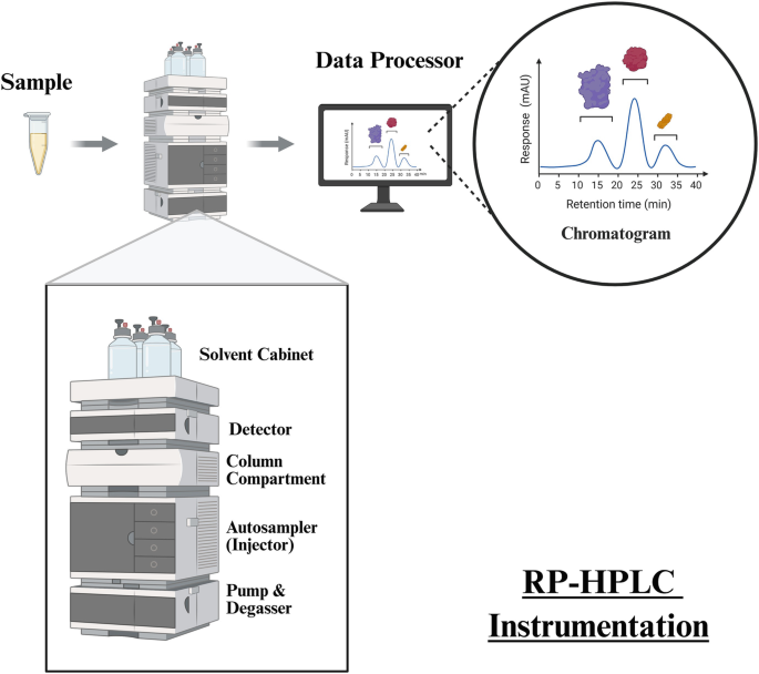 RP-HPLC: A Versatile Technique for Identification, Isolation, and ...