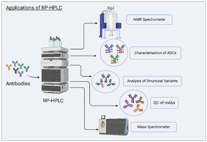 RP-HPLC: A Versatile Technique for Identification, Isolation, and ...