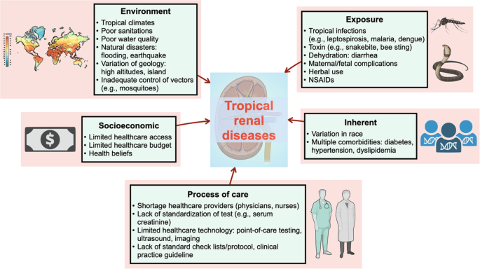 Tropical Diseases: A Public Health Problem with Impact on Nephrology ...