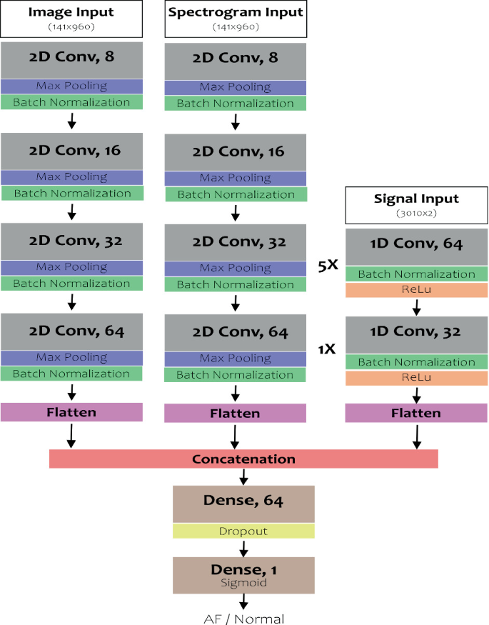 Multimodal Neural Network for Atrial Fibrillation Classification from Single-Lead ECG Recordings ...