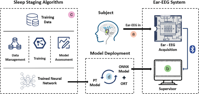 Development of a Portable Ear-EEG-Based Sleep Monitoring System ...