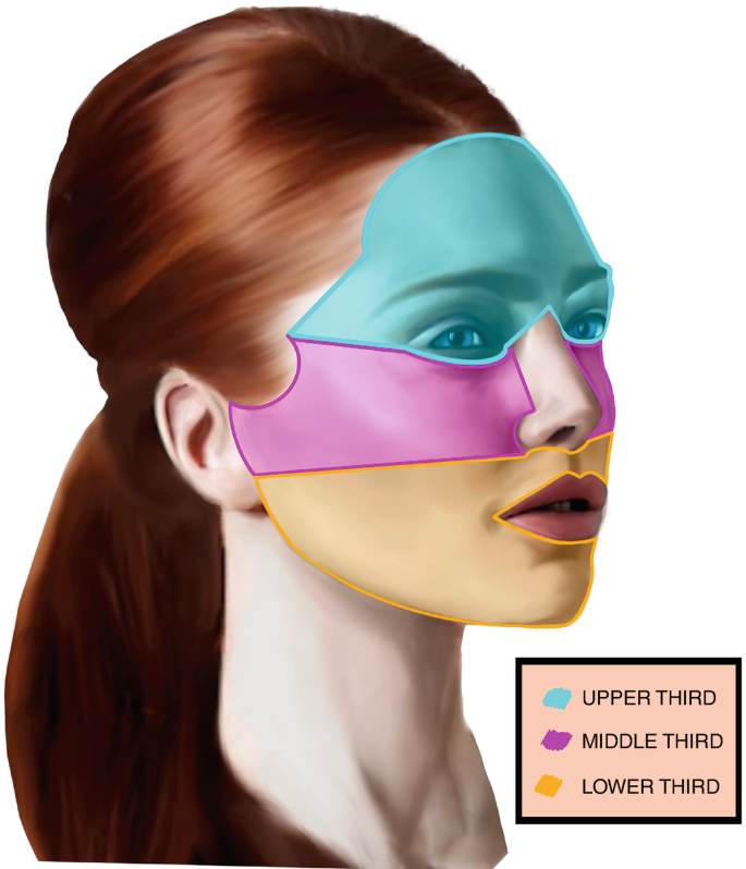 Surgical Anatomy of the Face and Neck | SpringerLink