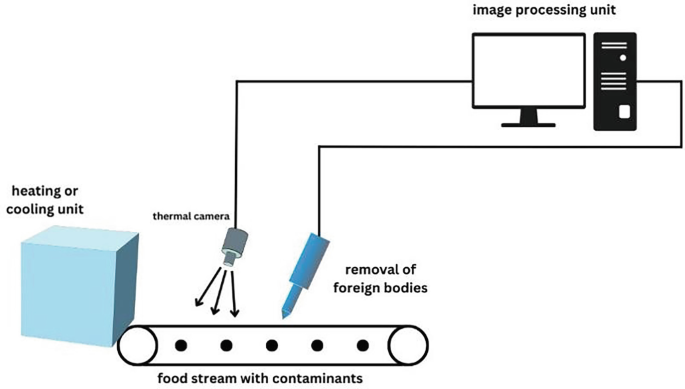 Thermal Imaging Applications in Food Processing | SpringerLink