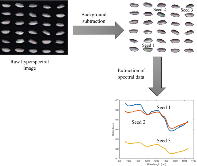 Hyperspectral Imaging | SpringerLink