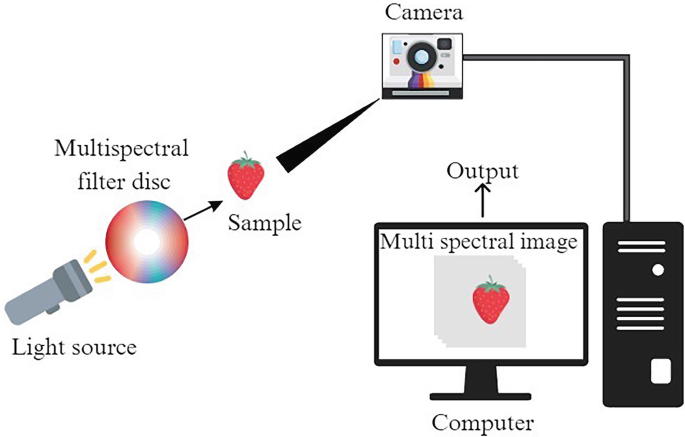 Multispectral Imaging Technique: Principles and Recent Applications in ...