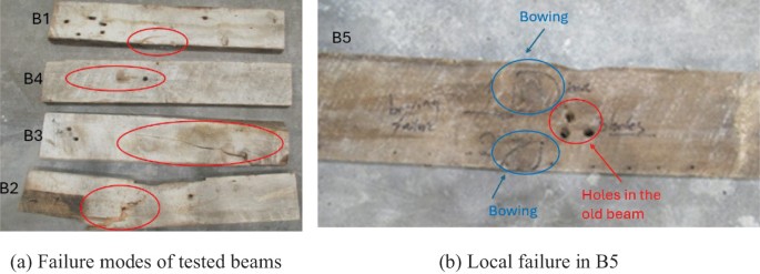 Evaluating the Mechanical Properties and Failure Modes of Timber ...