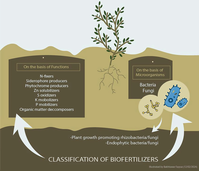 Nurturing Nature’s Solutions: The Lead of Biofertilizers in Sustainable ...