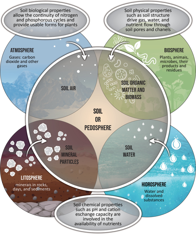 Contaminated Soil and Sediment Bioremediation Techniques | Springer ...