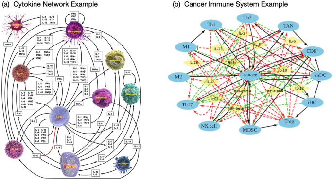 From Linear to Complex: Immune System Dynamics and Health Inequities in ...