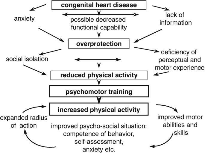 Exercise Training in Congenital Heart Diseases | Springer Nature Link