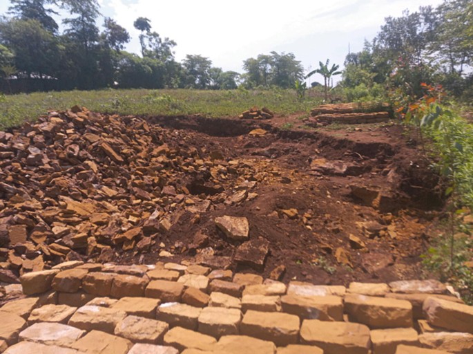 Climate Change-Induced Cost on Soil Security and Its Implication on ...