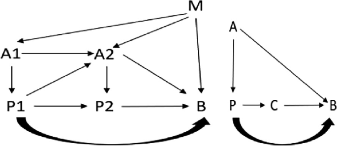 Modern Tools for Understanding Causality: A Comparative Review of ...