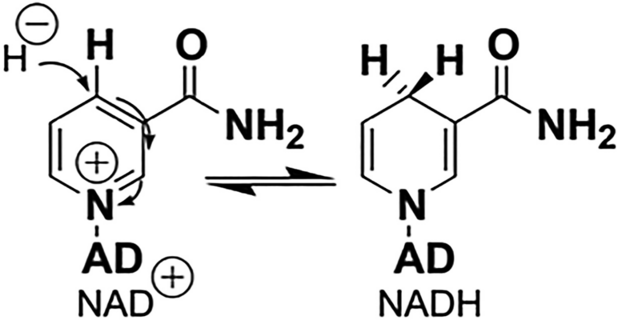 Vitamine | SpringerLink