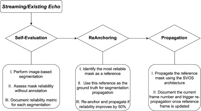 Deep Learning for Pediatric Right Ventricle Segmentation in ...