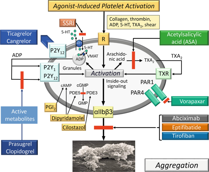 Acquired Disorders of Platelet Function | SpringerLink