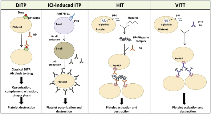 Drug-Induced Thrombocytopenia | SpringerLink