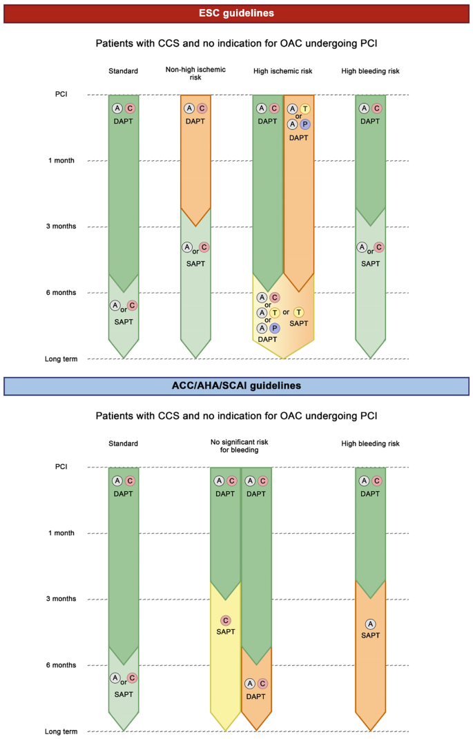 Antiplatelet Therapy in Coronary Artery Disease | SpringerLink