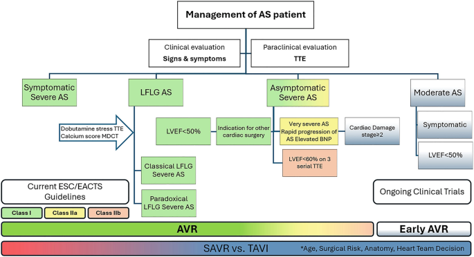 20 Years of TAVI—How Can We Get to a Comprehensive Patient Management ...