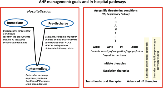 Acute Heart Failure: Epidemiology, Treatment, and Outcomes | SpringerLink