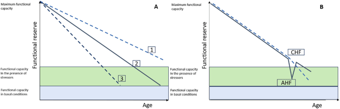 Chronic Heart Failure in Frail and Elderly Patients | Springer Nature Link