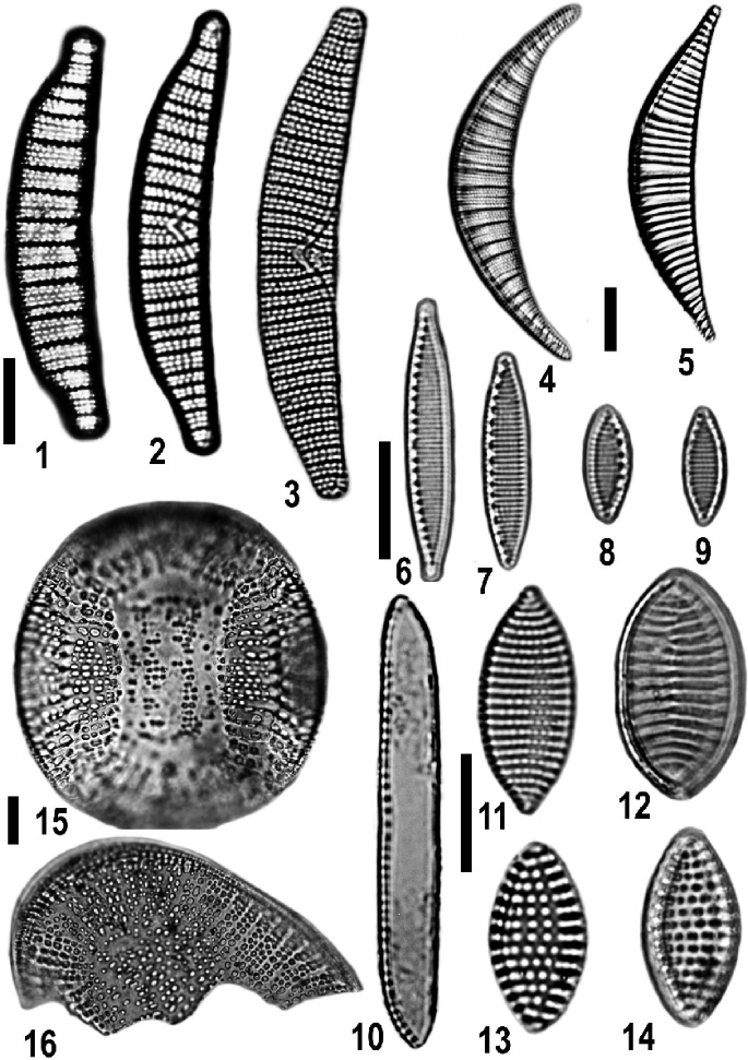 Quaternary Diatom Records of Environmental and Climate Changes in the ...