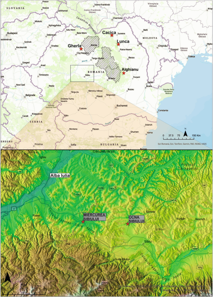 Salt Exploitation from the Neolithic to the Roman Empire: Ocna Sibiului ...