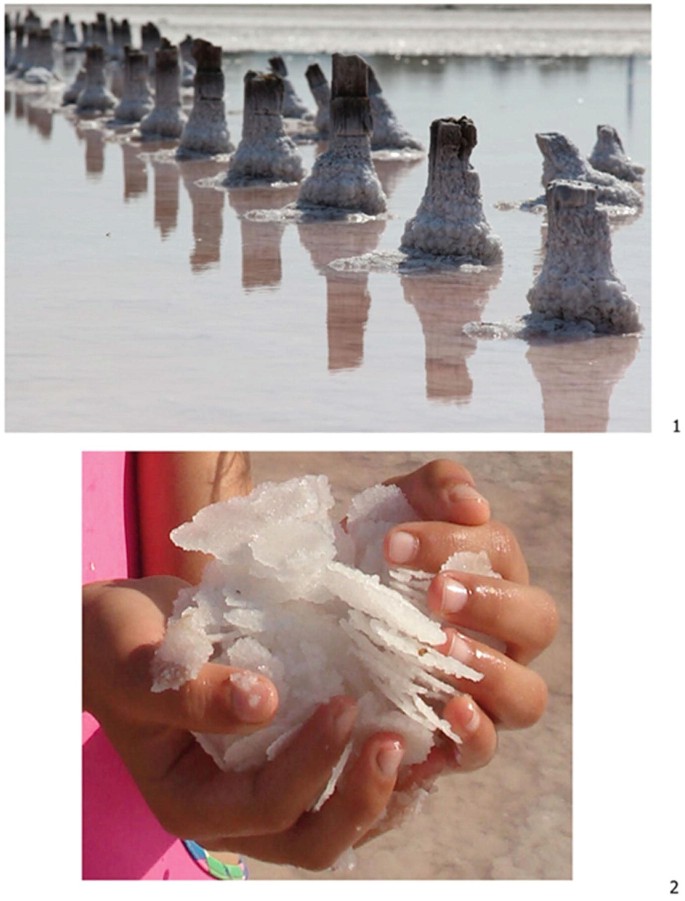 Salt Exploitation in Ukraine | SpringerLink