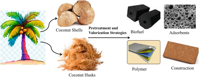 Coconut Husk and Shell Waste: A Bioresource for the Production of ...