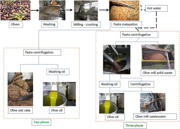 Valorization of Olive Mill Wastewater: A Review | Springer Nature Link